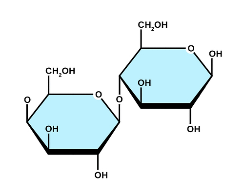 Products – Heparin Building Blocks